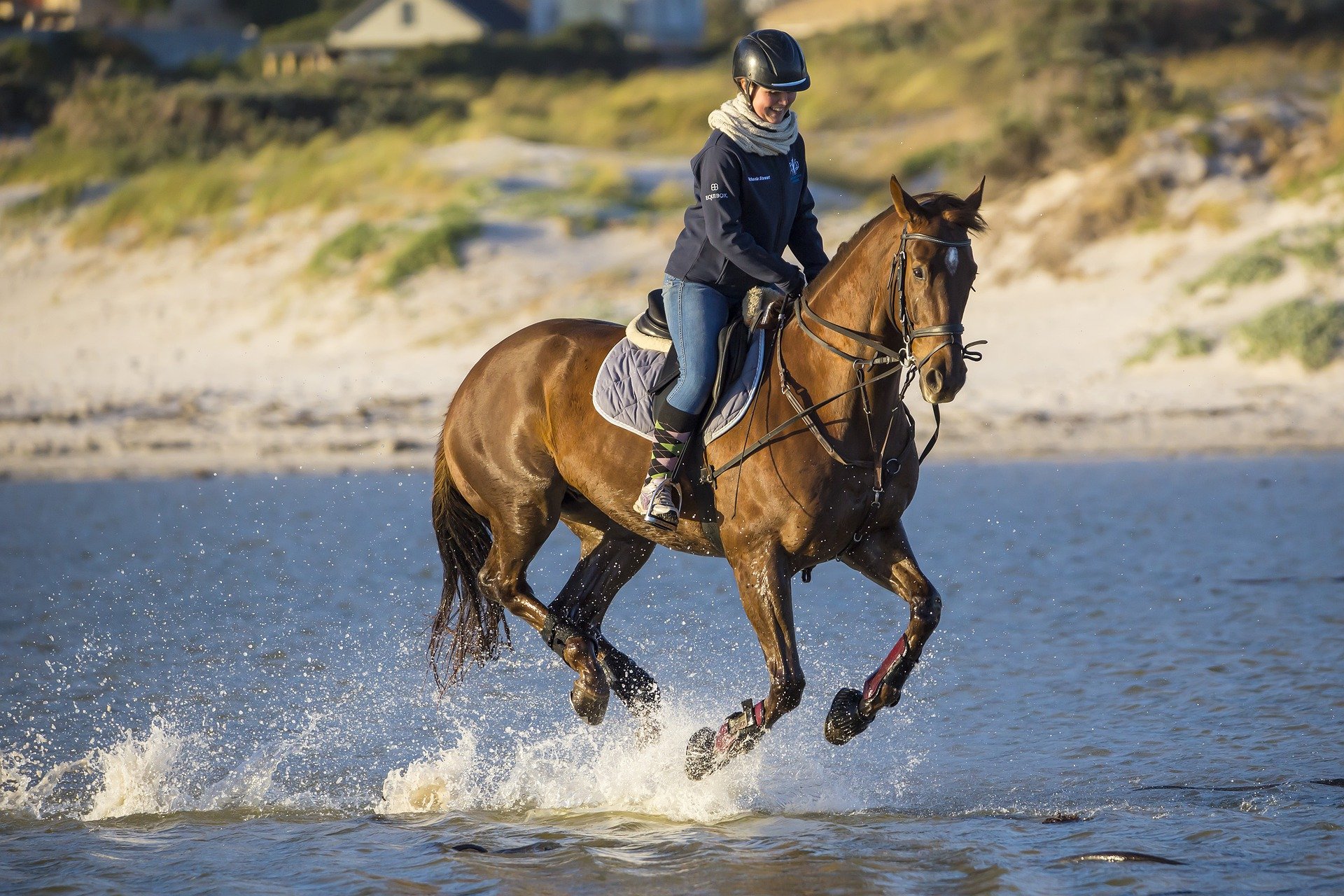 Is Paardrijden Een Sport Of Niet SportsMania nl